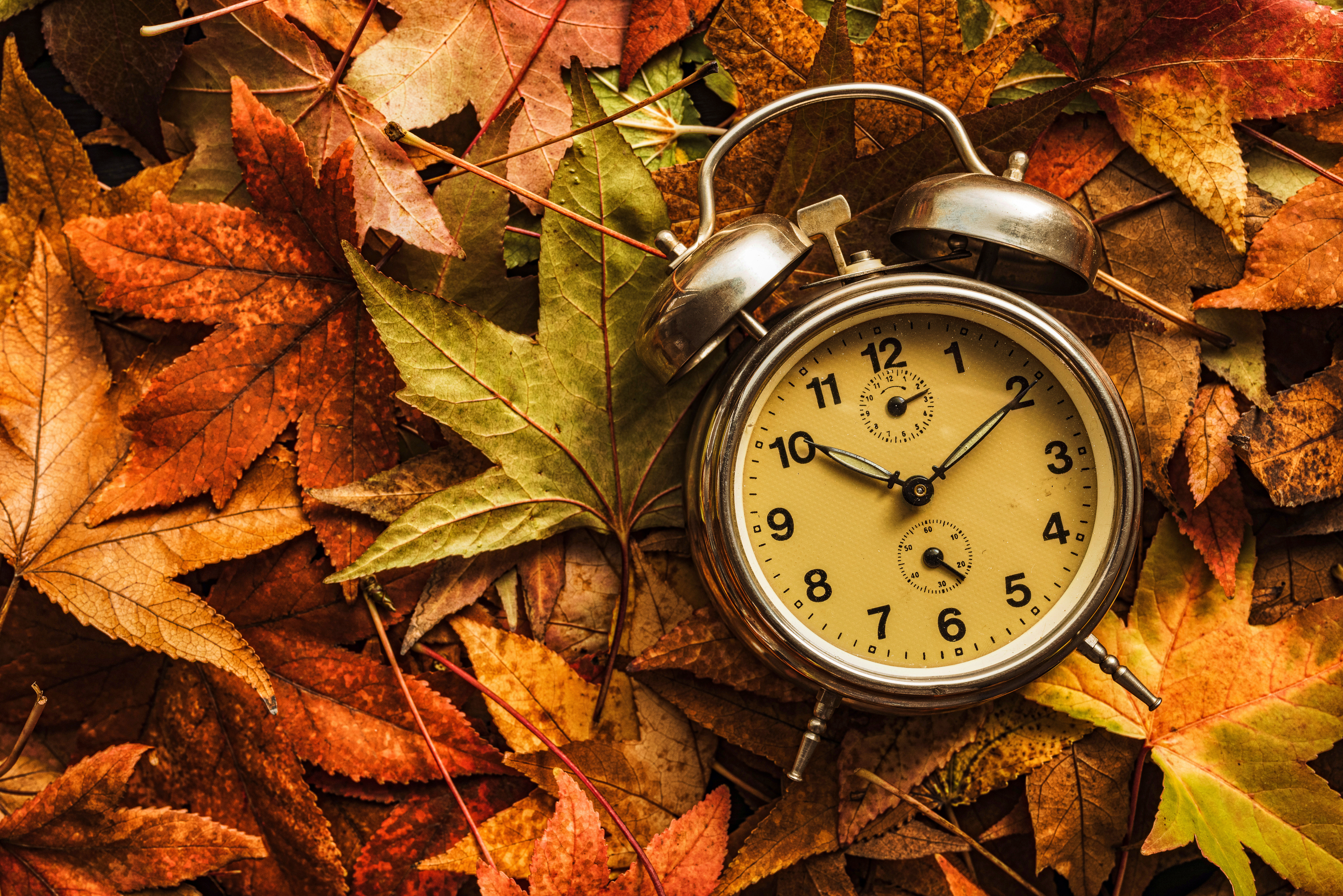 How Daylight Savings Time Impacts Energy and Energy Efficiency Tips